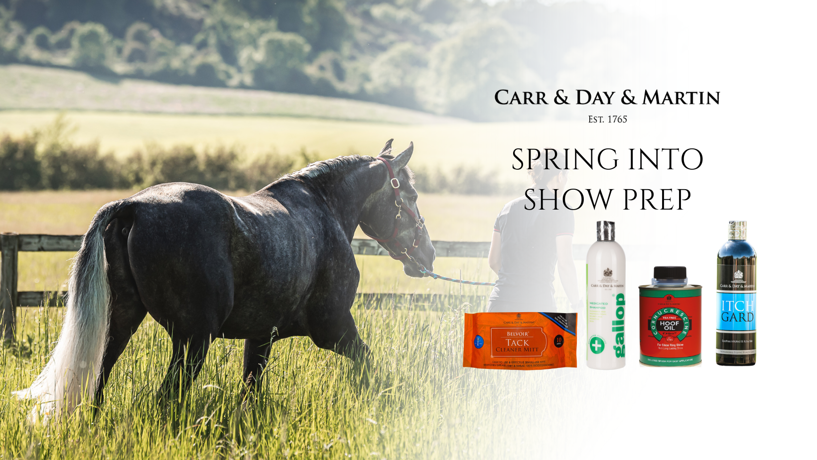 Best Spring Prep Horse Care Products | Carr & Day & Martin