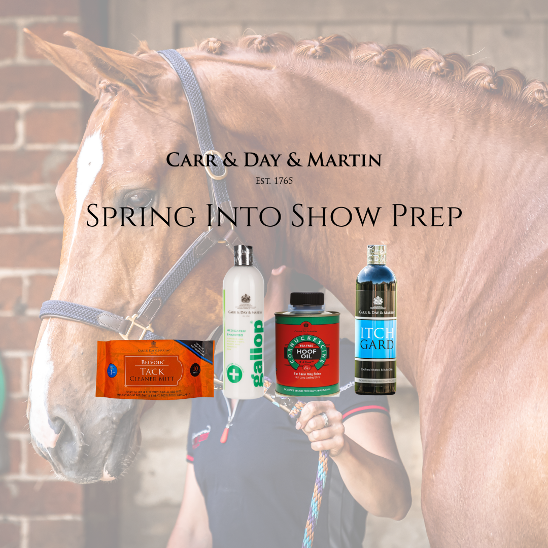 Best Spring Prep Horse Care Products | Carr & Day & Martin