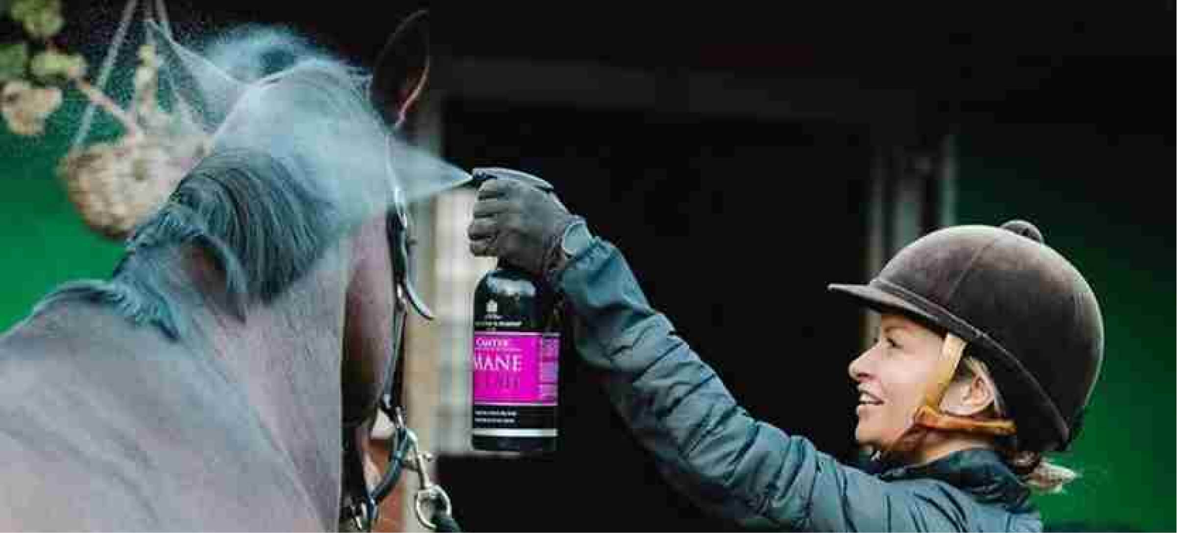 Carr & Day & Martin Horse Care| Customer & Product Reviews