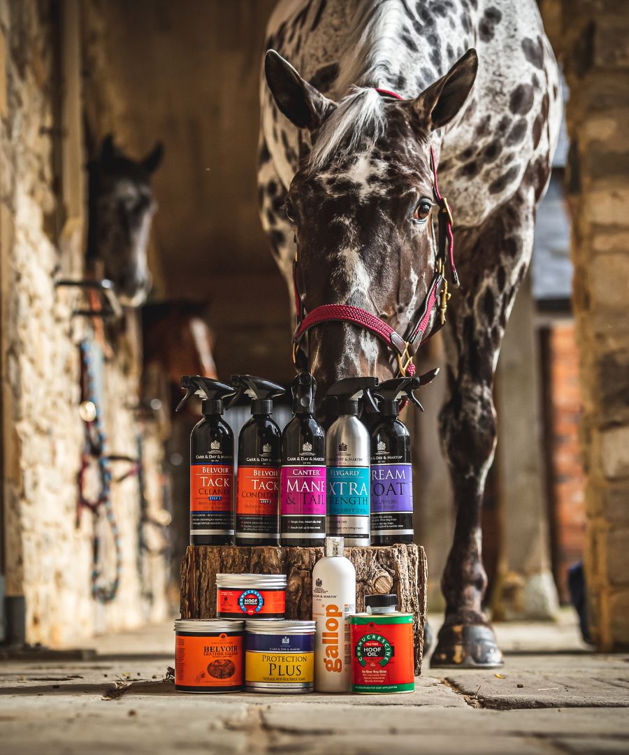 Carr & Day & Martin Horse Care | Where to buy online