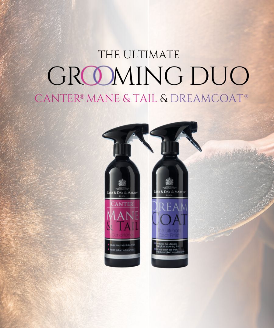 The Ultimate Grooming Duo | Canter Mane & Tail Meets Dreamcoat
