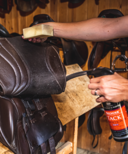 A Fresh Start: Organising Your Tack Room for the New Year - Carr Day Martin