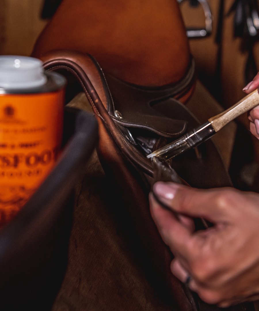 Transition Leather Tack from Summer to Winter | Carr Day Martin