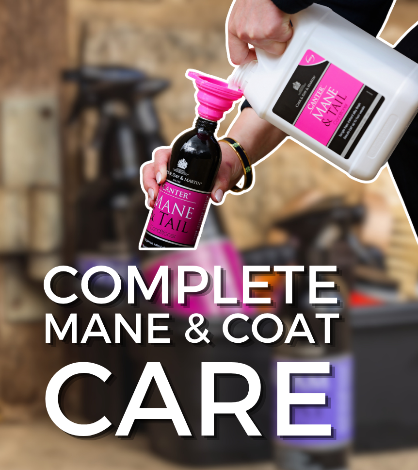 Smarter Horse Grooming with Canter Mane & Tail, Dreamcoat & CAREFILL